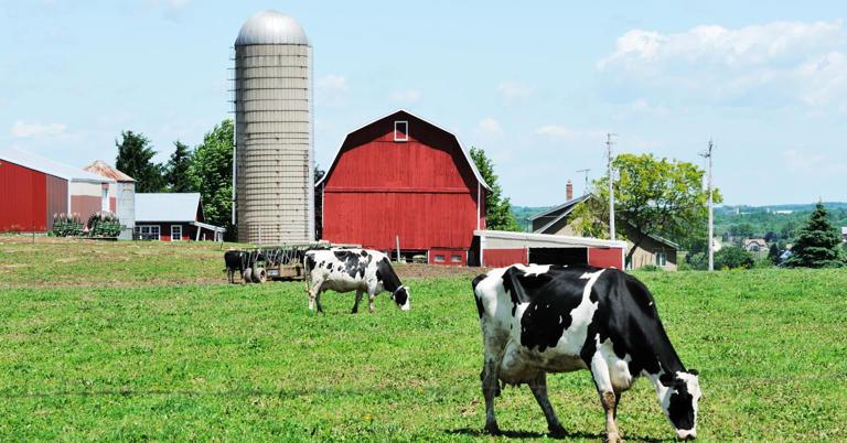 Warren Buffett's master class on the problem with gold