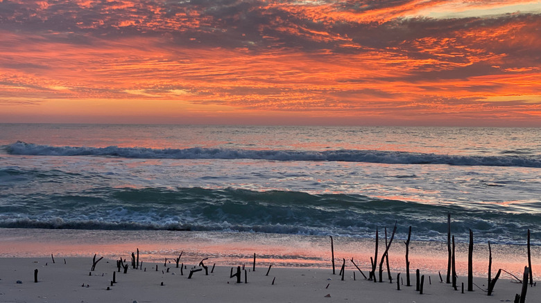 Florida's Best-Kept Secret Is A Friendly Gulf Coast Hamlet With Beaches ...