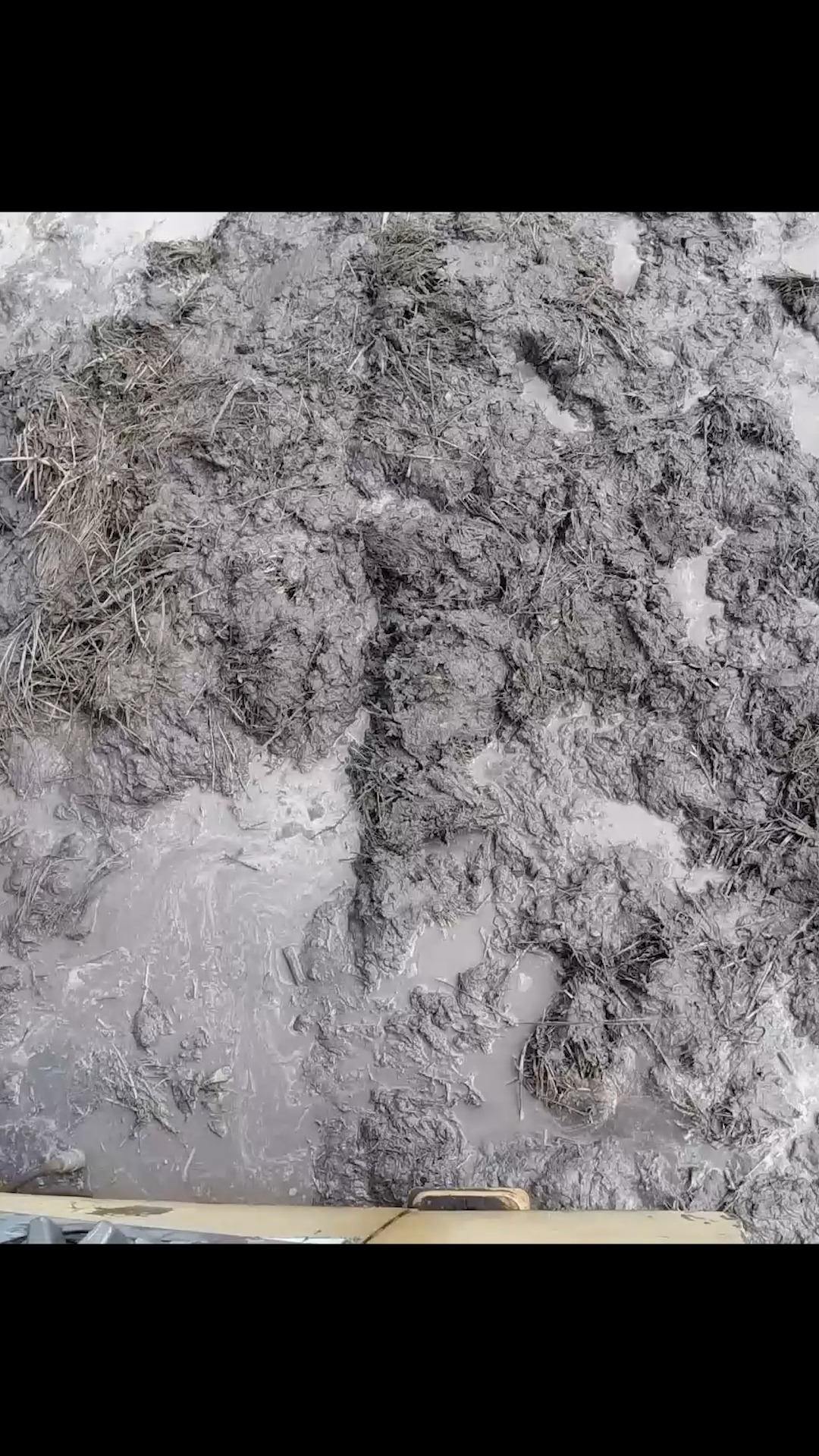 Dozer Stuck in the Swamp!