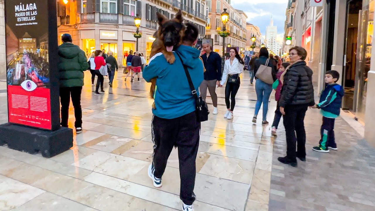 People React to Cute German Shepherd Outdoors