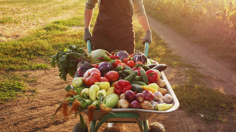Marcus Samuelsson's 11 Best Cooking Tips For Home Chefs