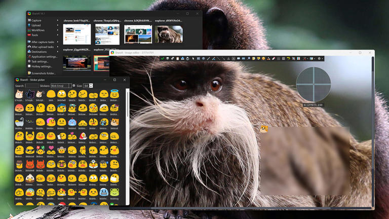 5 must-have apps I install on every new Windows PC - and why they matter