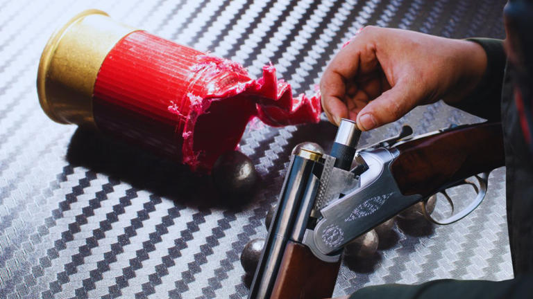 Buckshot Breakdown: From Coyotes to Self-Defense, It Gets the Job Done