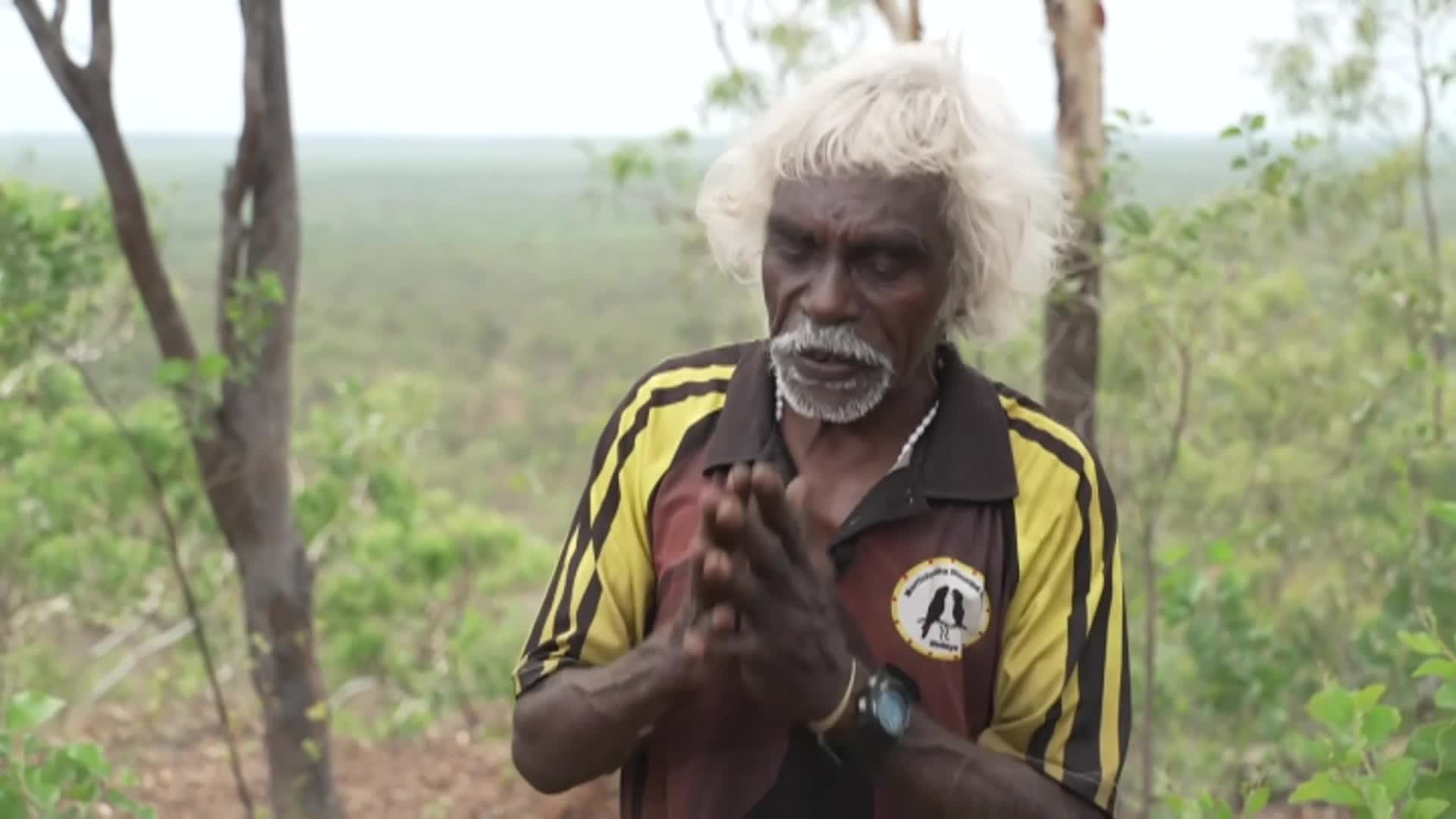 Remote NT community of Wadeye gather for cultural festival