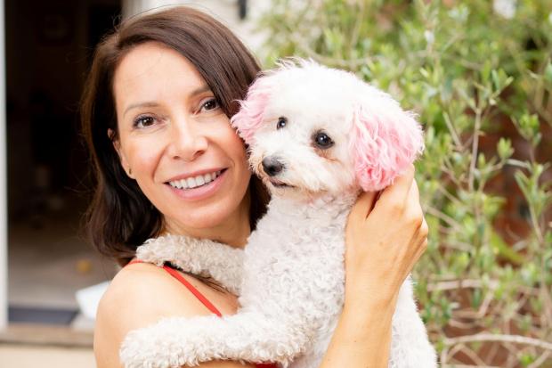 York solicitor develops 'groundbreaking digital tool' for pet owners