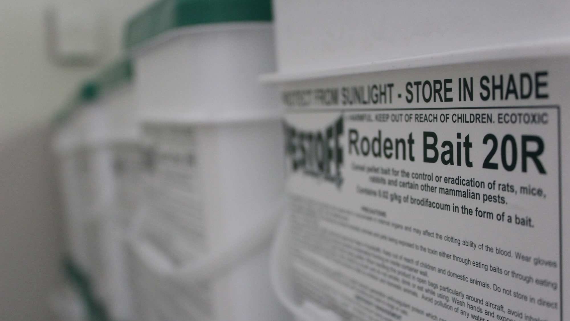 Five suspected rat poison cases detected in south-east Queensland