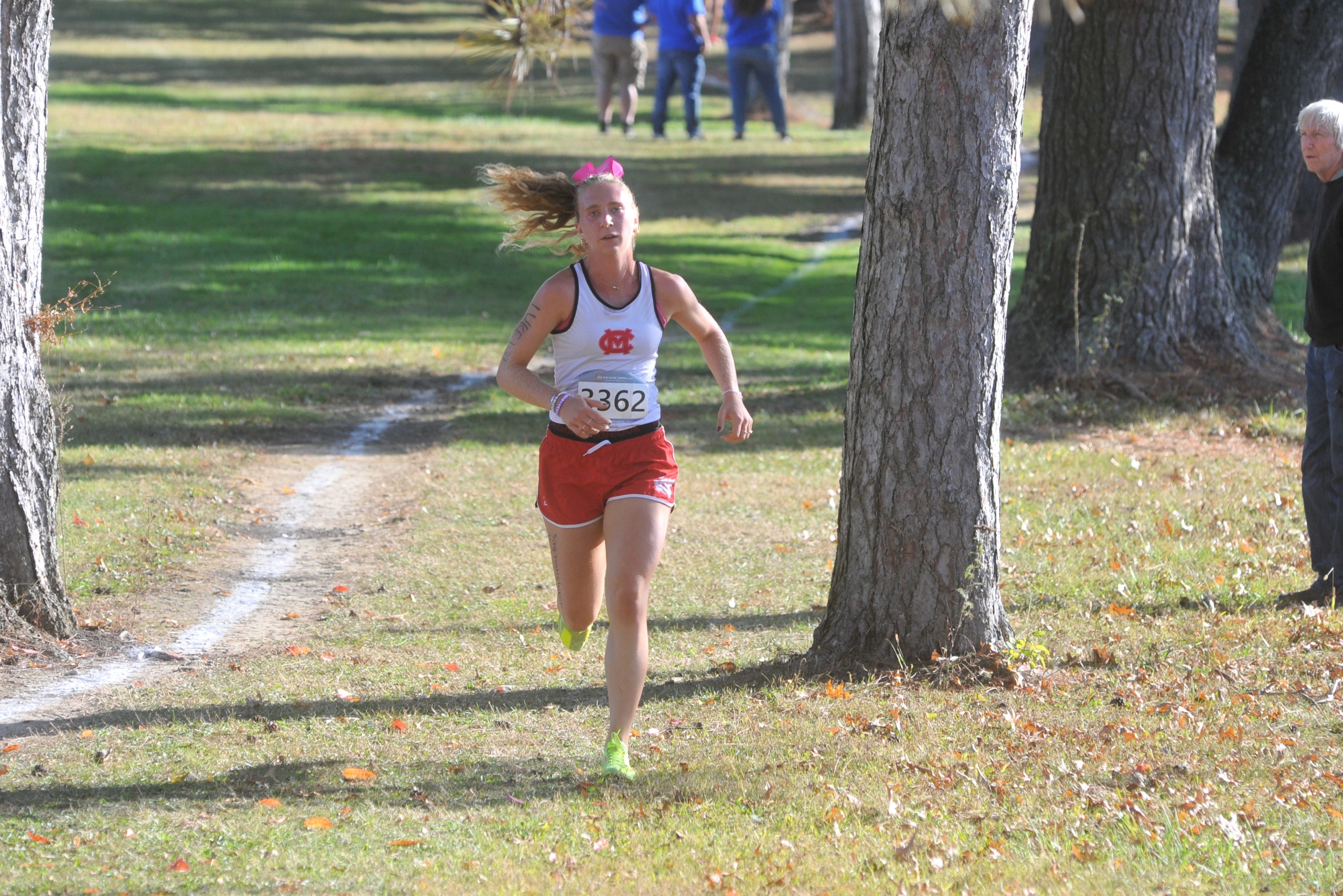 Mansfield Christian's Patrick, Bucyrus' Boggs run away with district ...