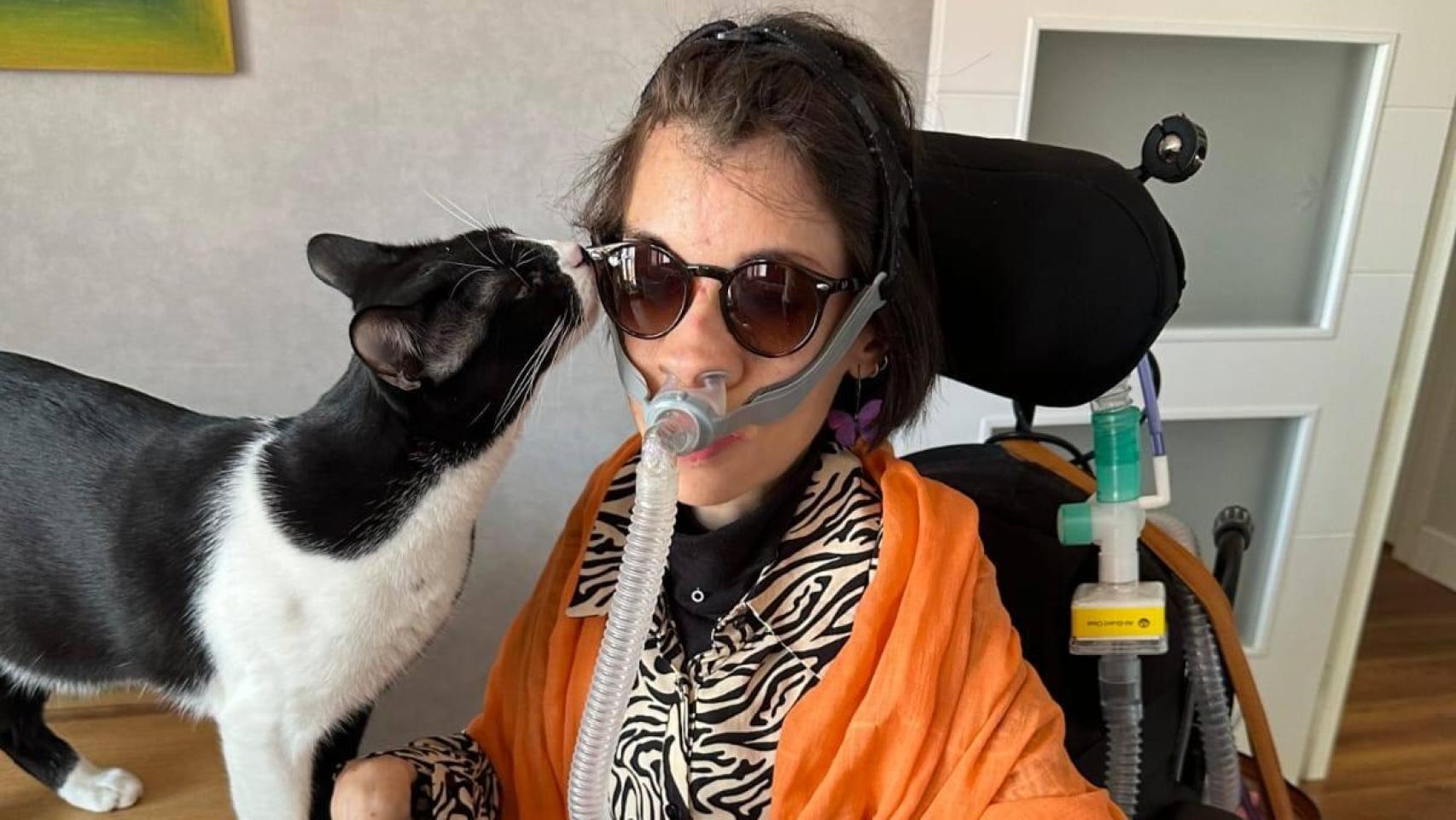 Buscan un hogar para los gatos de Ana, la vallisoletana que dedicó su ...