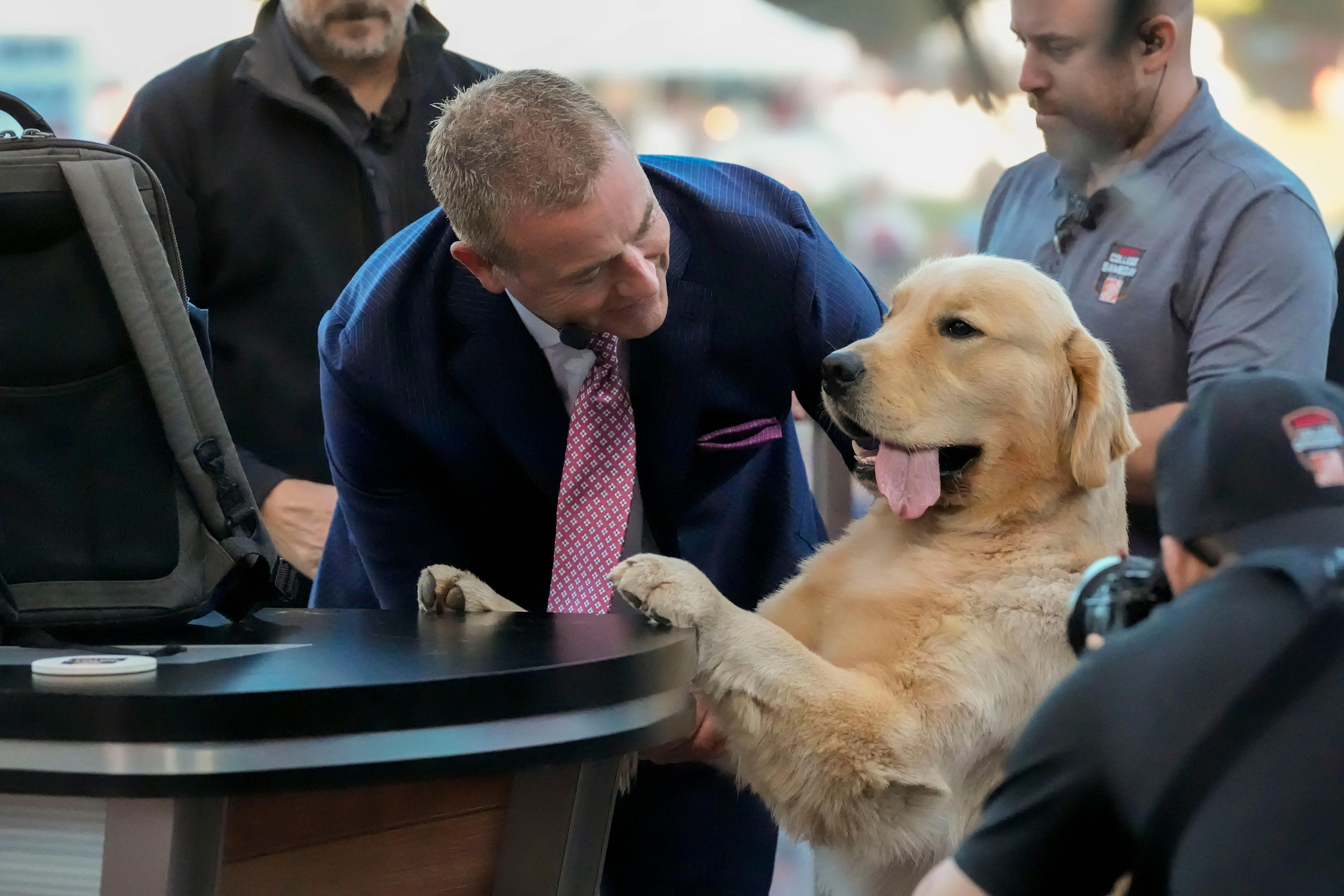 11 photos of Kirk Herbstreit's adorable dog, Peter, living his best football life