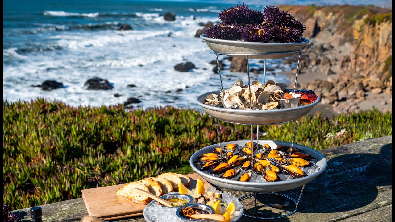 I foraged for ingredients to build a seafood tower 🦞