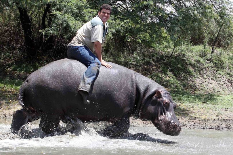 Farmer mauled to death by pet hippo he 'trusted with his heart' after ...