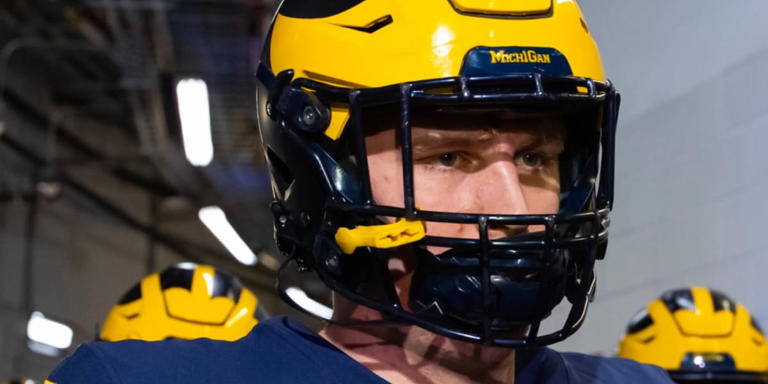 Michigan football injury updates: Evan Link, Rod Moore, Ernest Hausmann ...