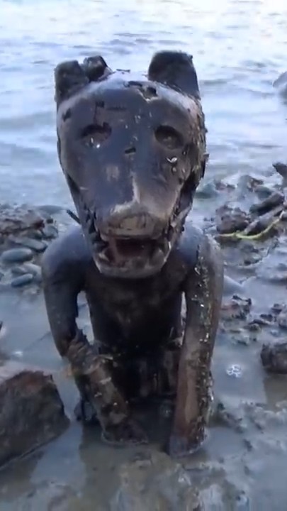 Strange Find: A Nailed Wooden Dog in the River!