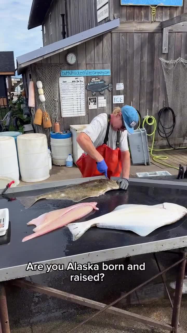 The art of filleting fresh halibut