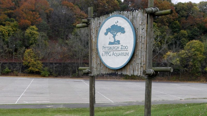 Ohio ‘influencer’ charged after incident at Pittsburgh Zoo