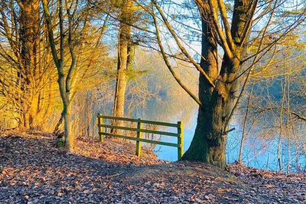 'Beautiful' Oxfordshire nature reserve with 'rare' birds and ...