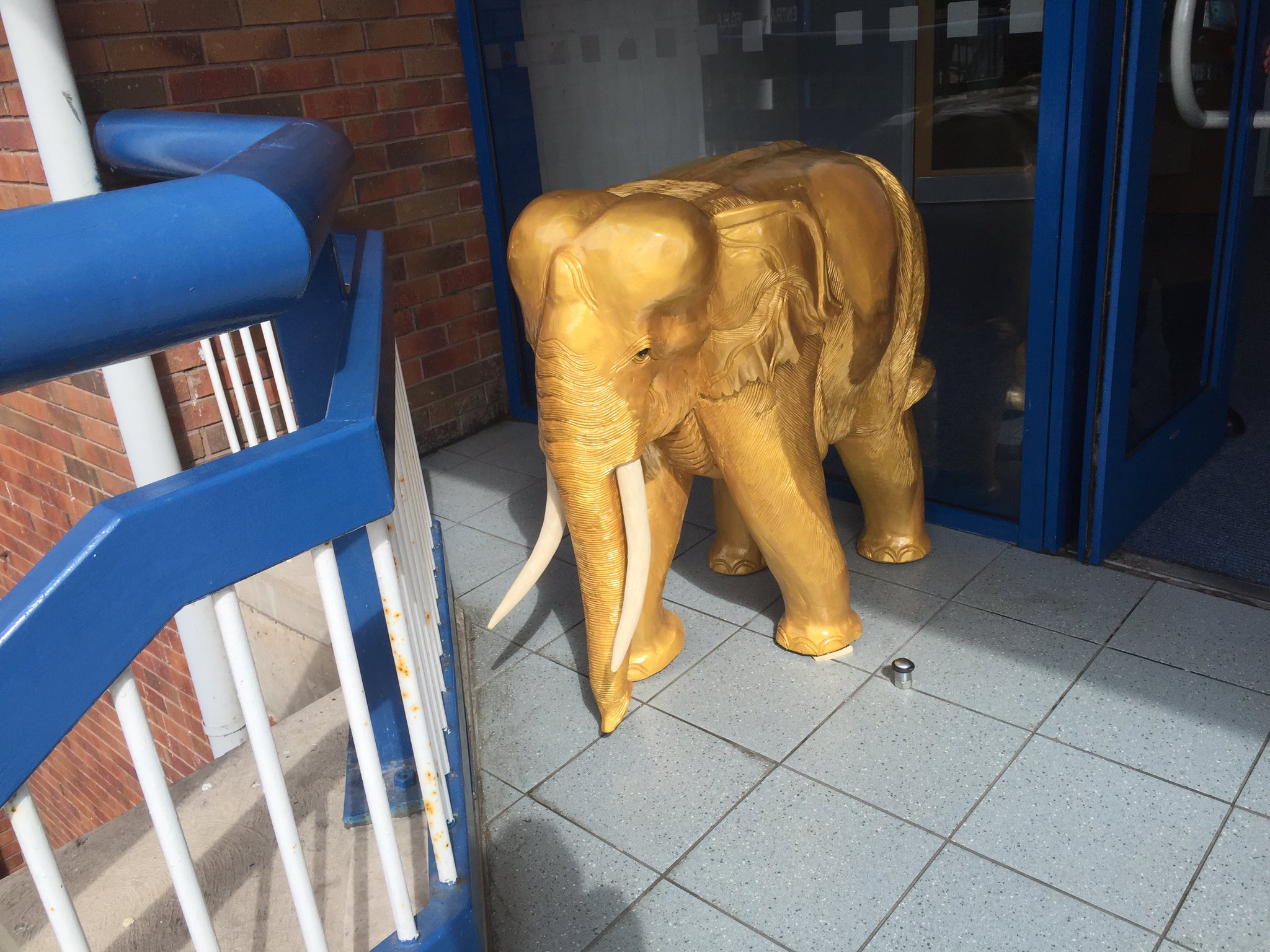 Truth revealed on rumours Dejphon Chansiri's golden elephants were ...