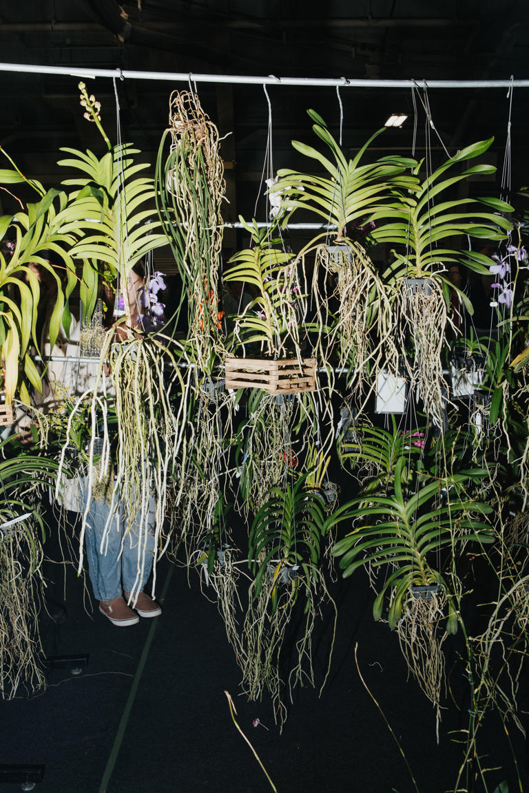 Welcome to the killer plant club