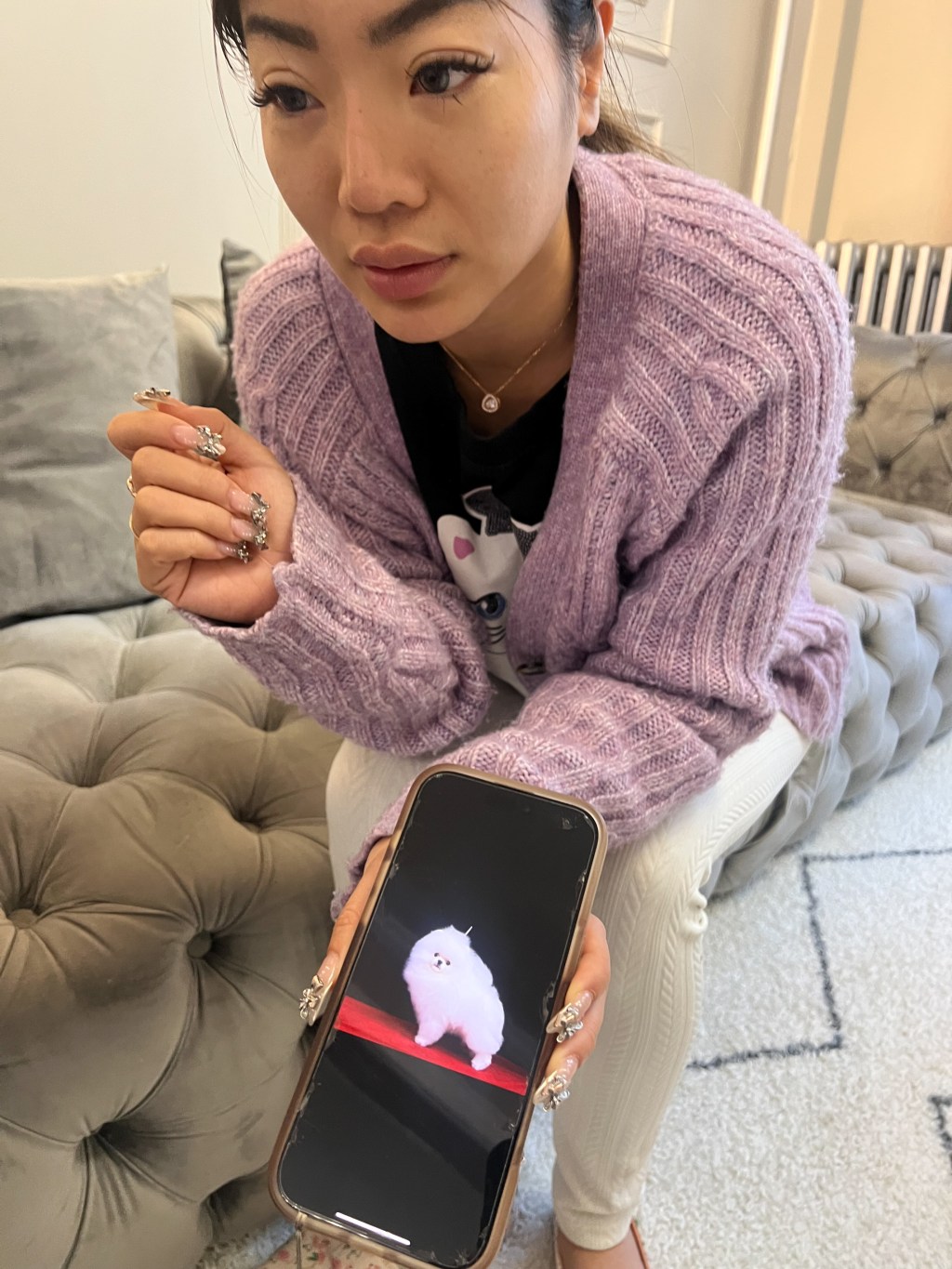 The Post goes undercover: Queens pet store selling Asian-bred pups for ...