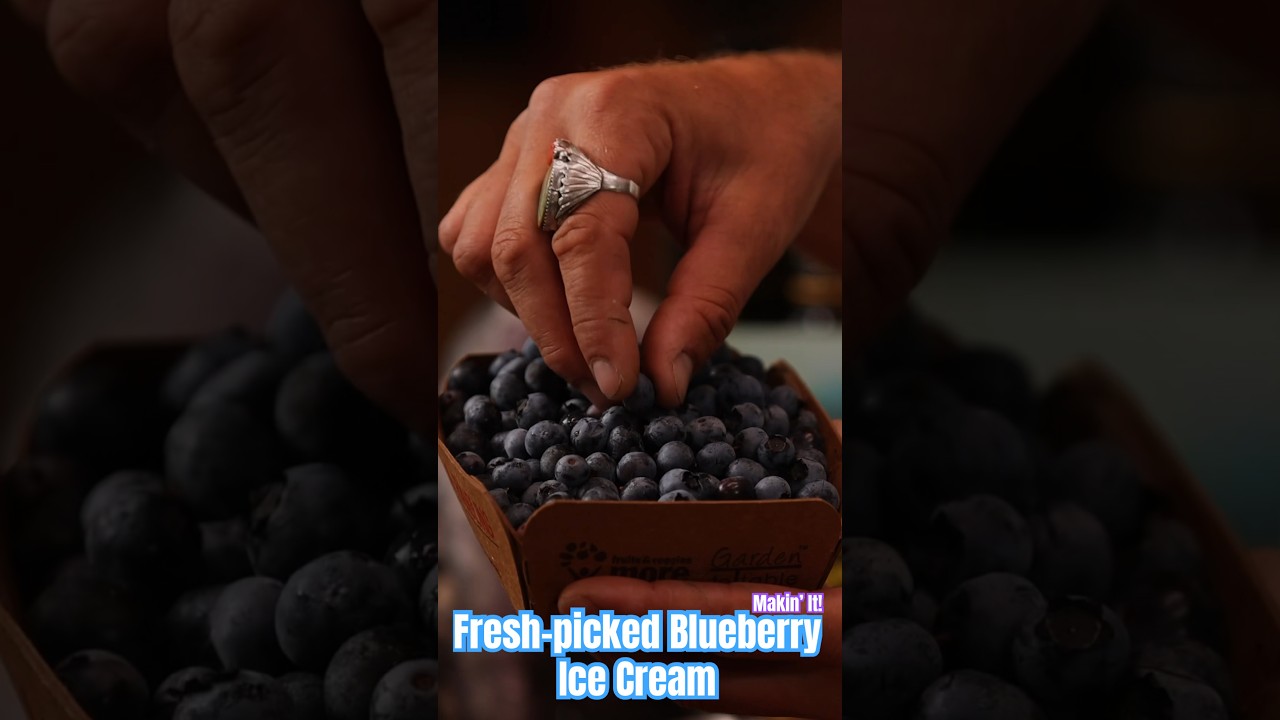 Turn fresh-picked berries into rich homemade ice cream