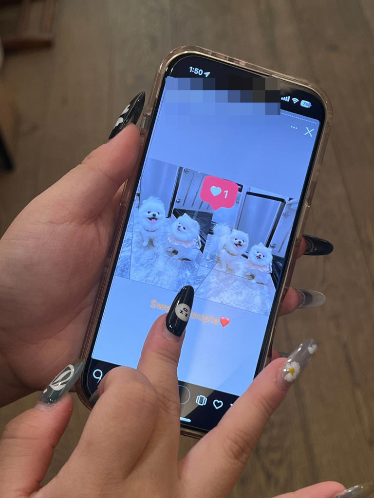 The Post goes undercover: Queens pet store selling Asian-bred pups for ...