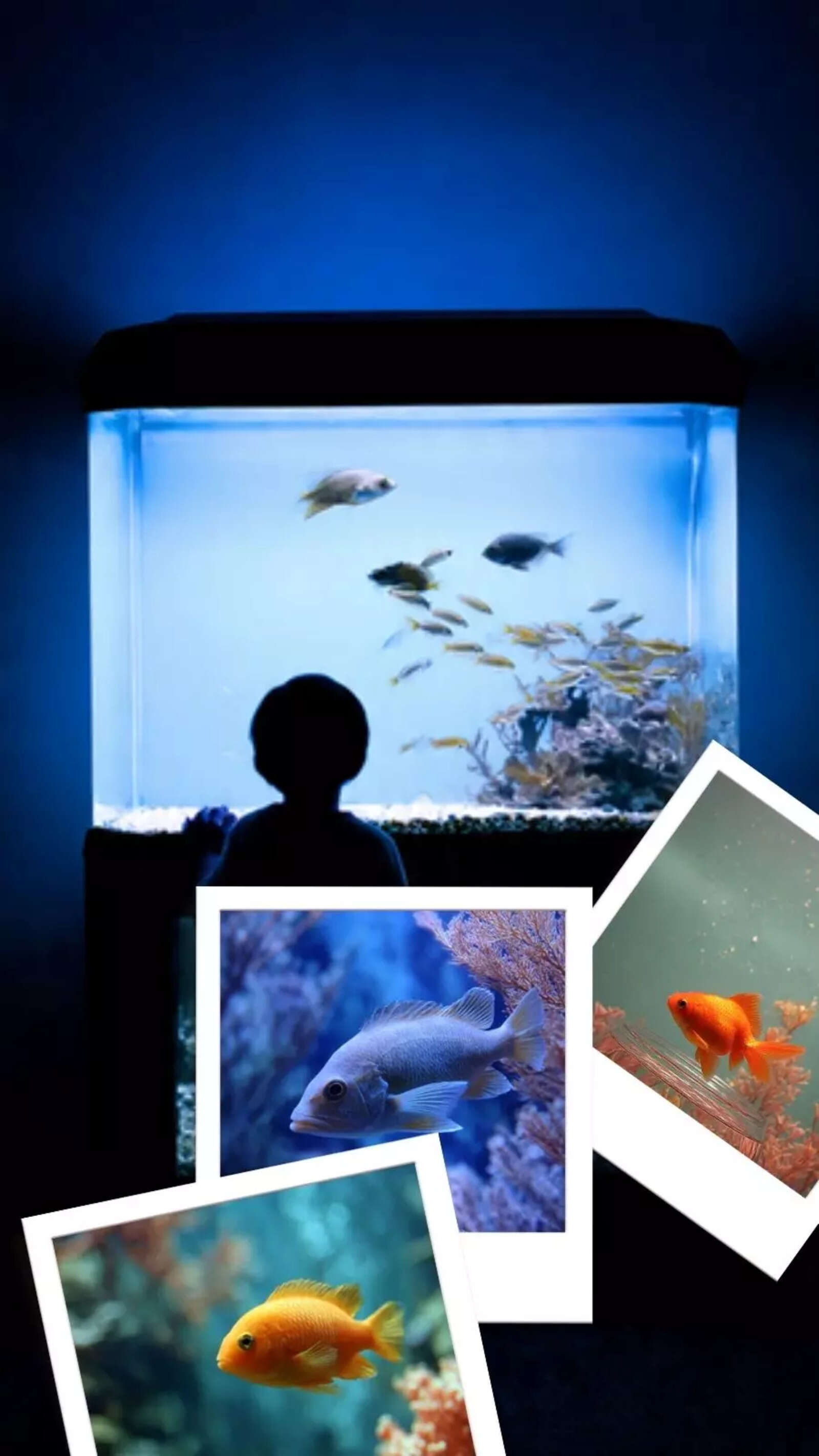 How To Clean Your Aquarium Without Disturbing Your Fish
