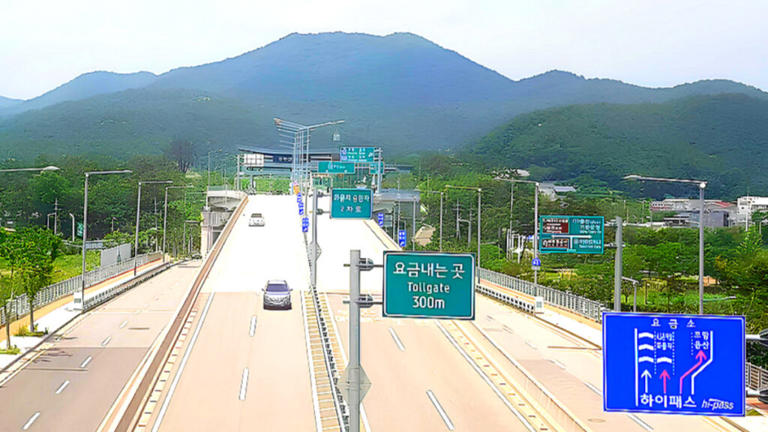 Zombie Brain Shot Recipe for Halloween Parties!