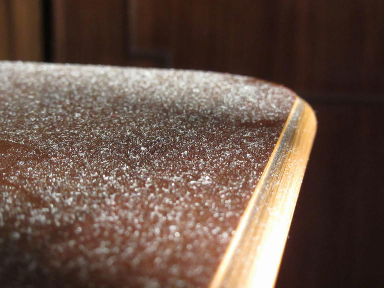 How to keep dust from taking over your home (without constant cleaning)
