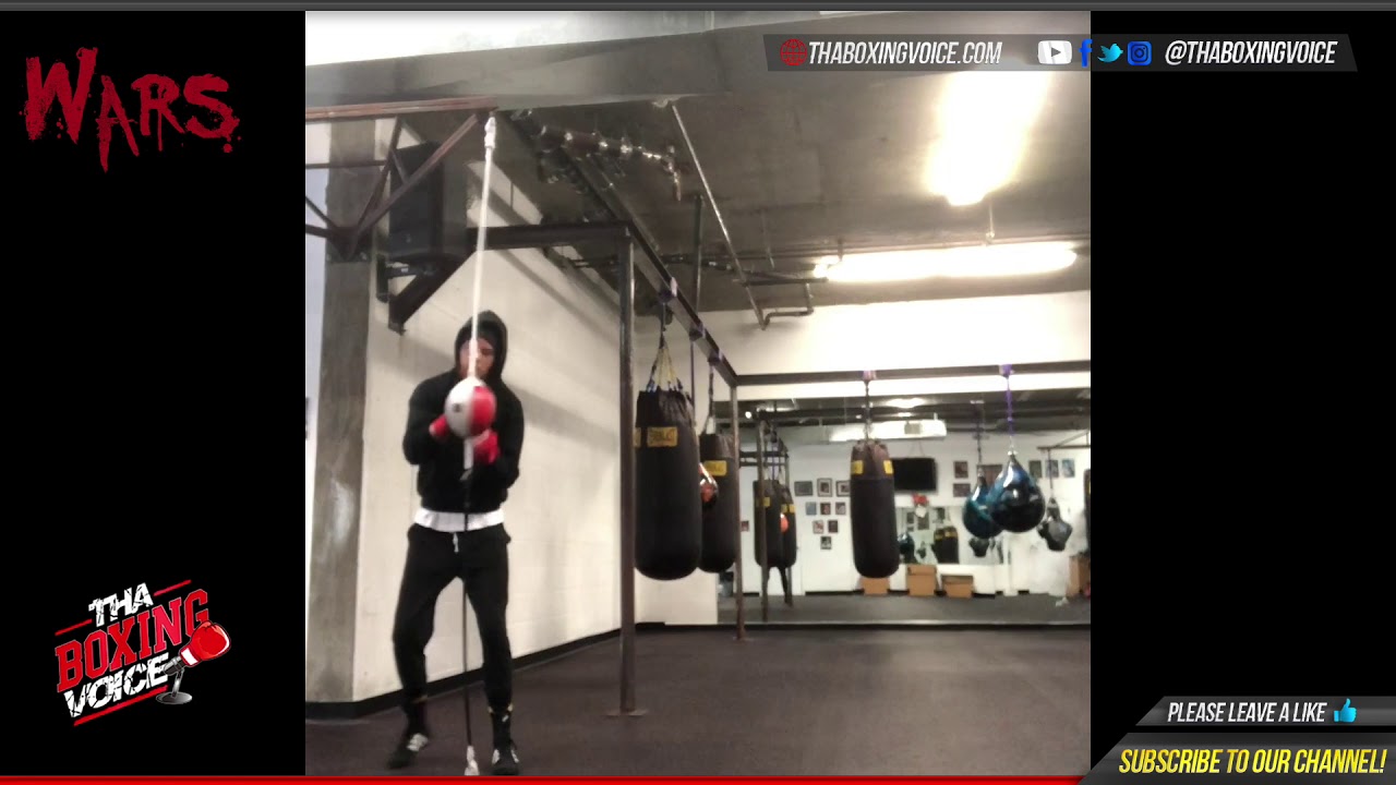 🌵Border wars 4: Introducing Loren from Seattle ⛈AKA Maserati🥊