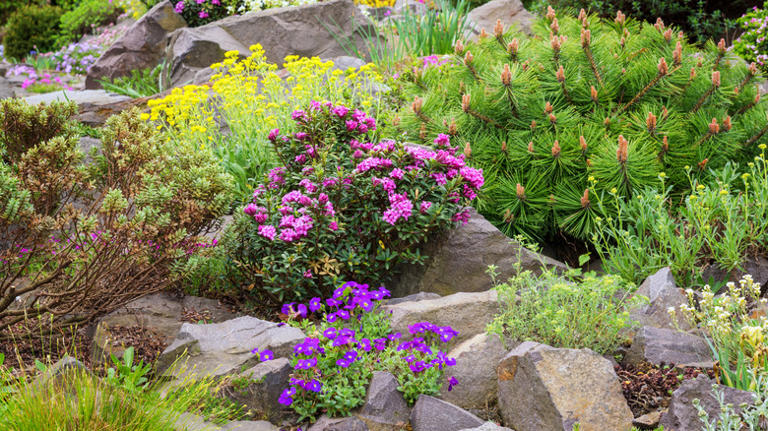15 Stone Landscaping Ideas That Require Little Upkeep And Add Charm To ...