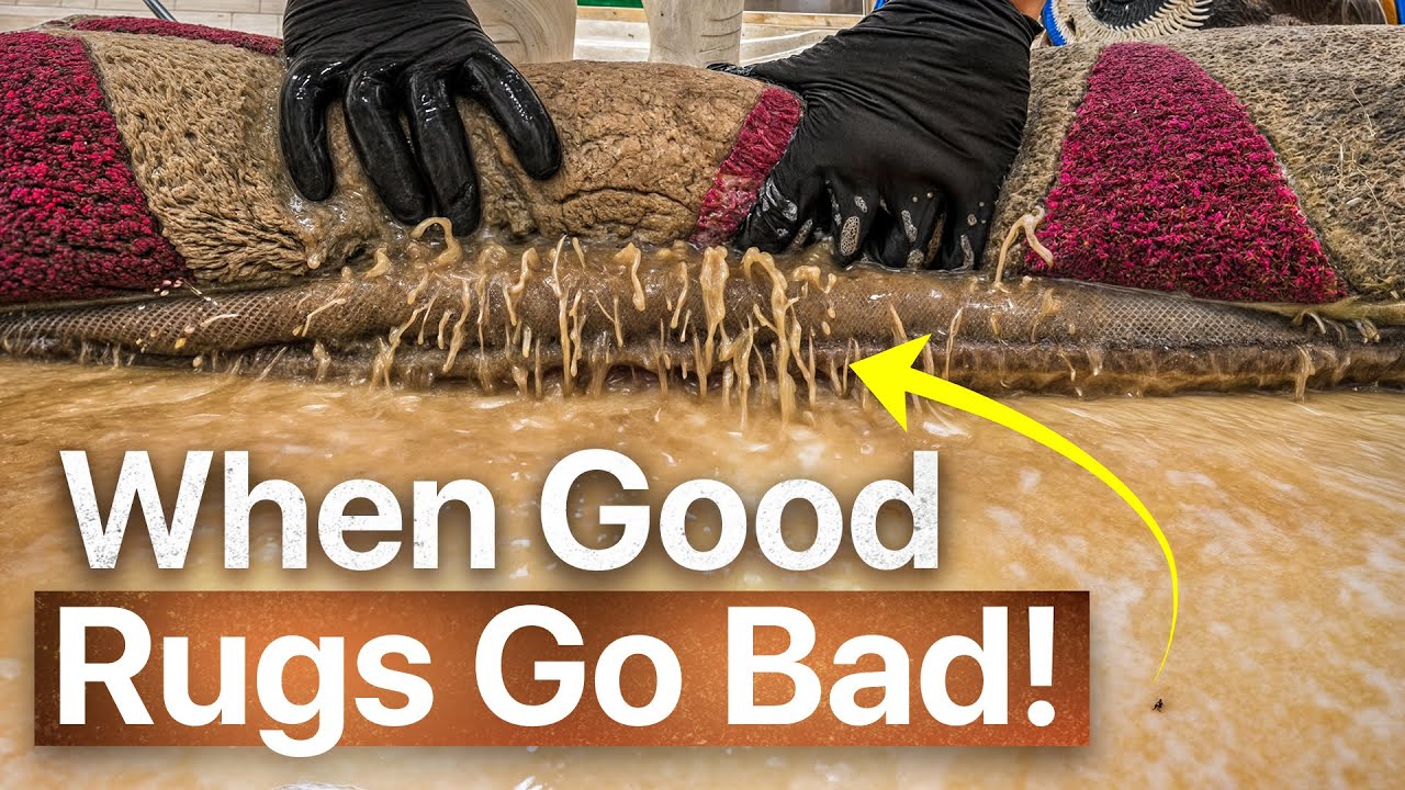 Epic fail: My attempt to save this rug! Satisfying ASMR carpet cleaning