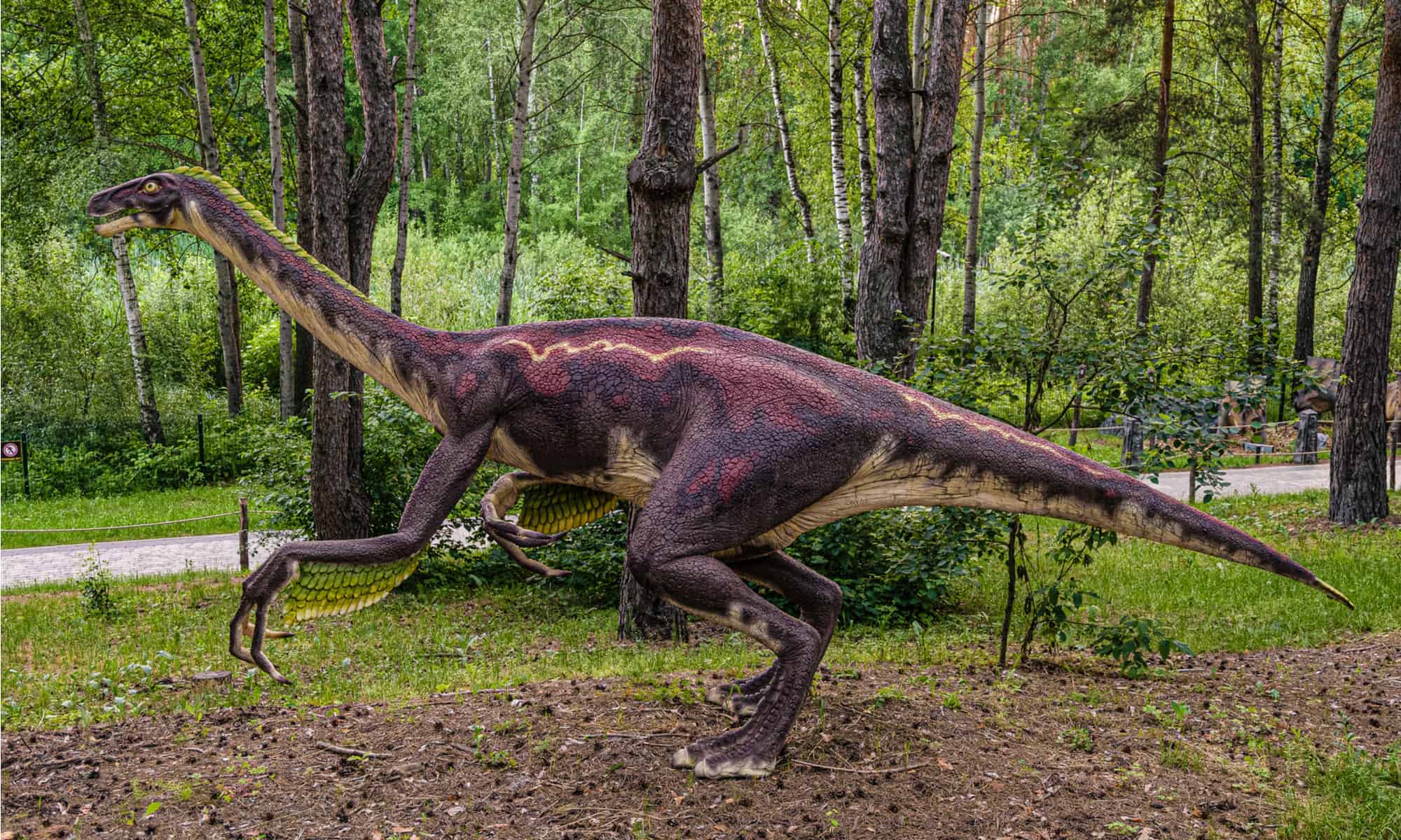 Meet the Giant, Agile Ancestor of the Modern Ostrich