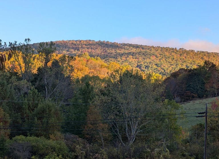 Virginia’s fourth fall foliage report of 2025 shows patchy, partial ...