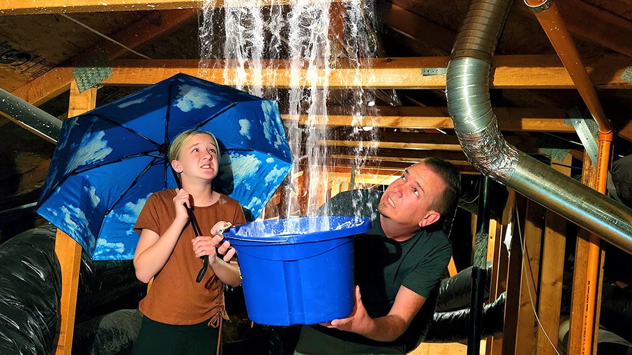 Our roof is leaking - what now?