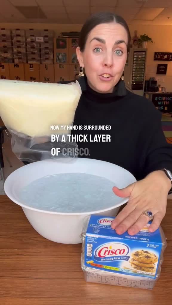 How Do Arctic Animals Survive the Freezing Cold?