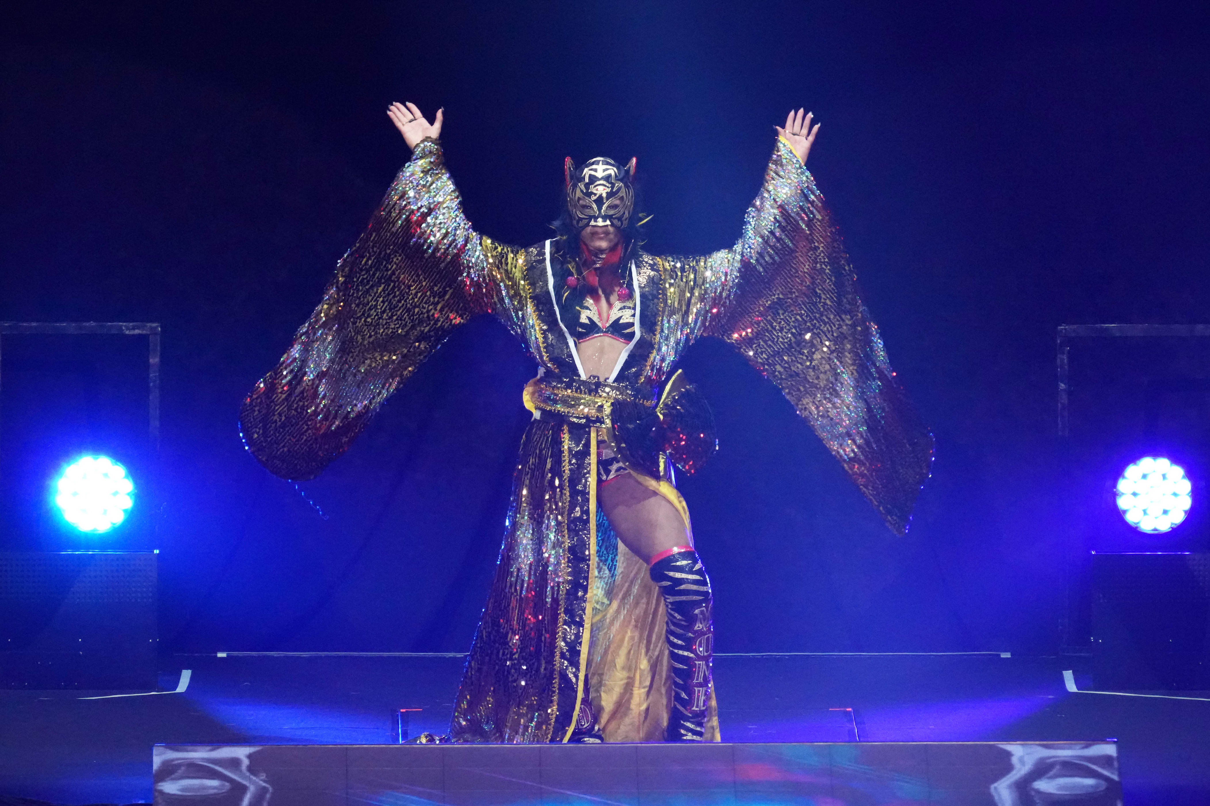 Former WWE star makes history at AEW WrestleDream 2025