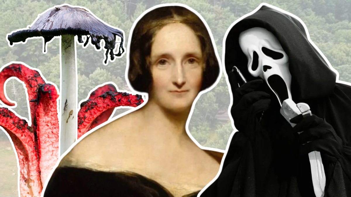 Not all creepy stories are made up. These 14 have some truth