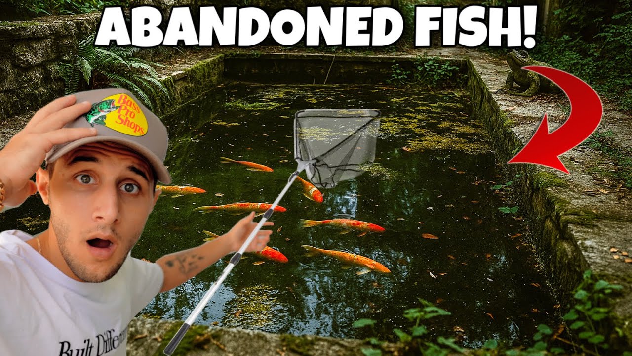 I rescued all these fish!