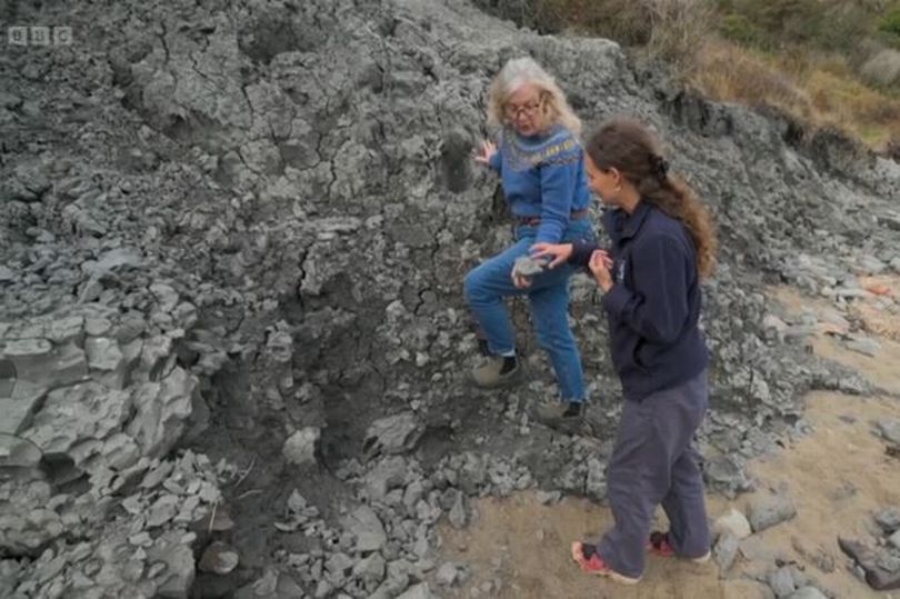 BBC Countryfile presenter says 'it's magical' as she shows off find