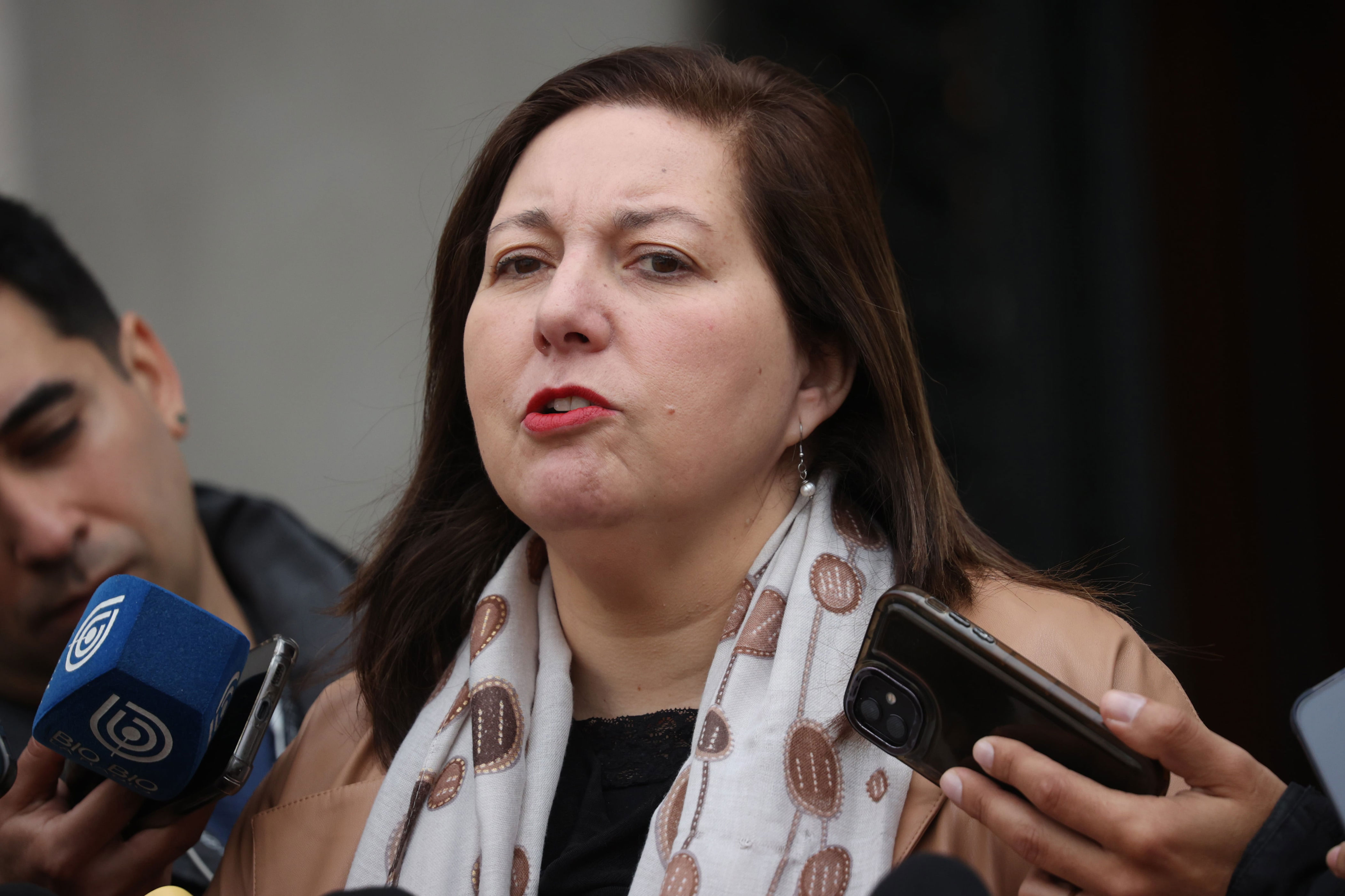 Vodanovic cuestiona al PDG tras resultado de consulta con miras al balotaje: “No es una ...