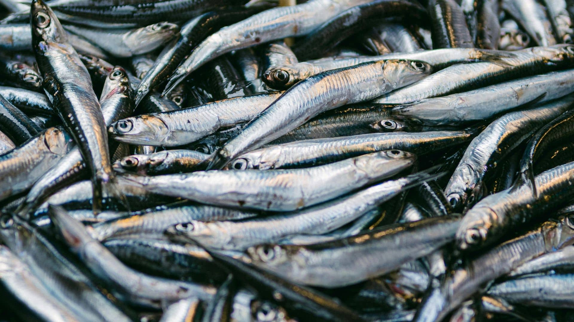 The Most Hated Foods In America