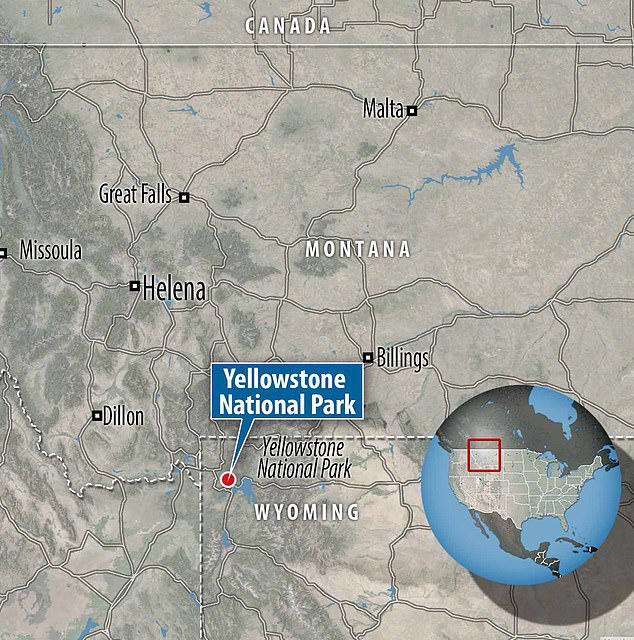 American icon's grim future inside Yellowstone National Park as tourist ...