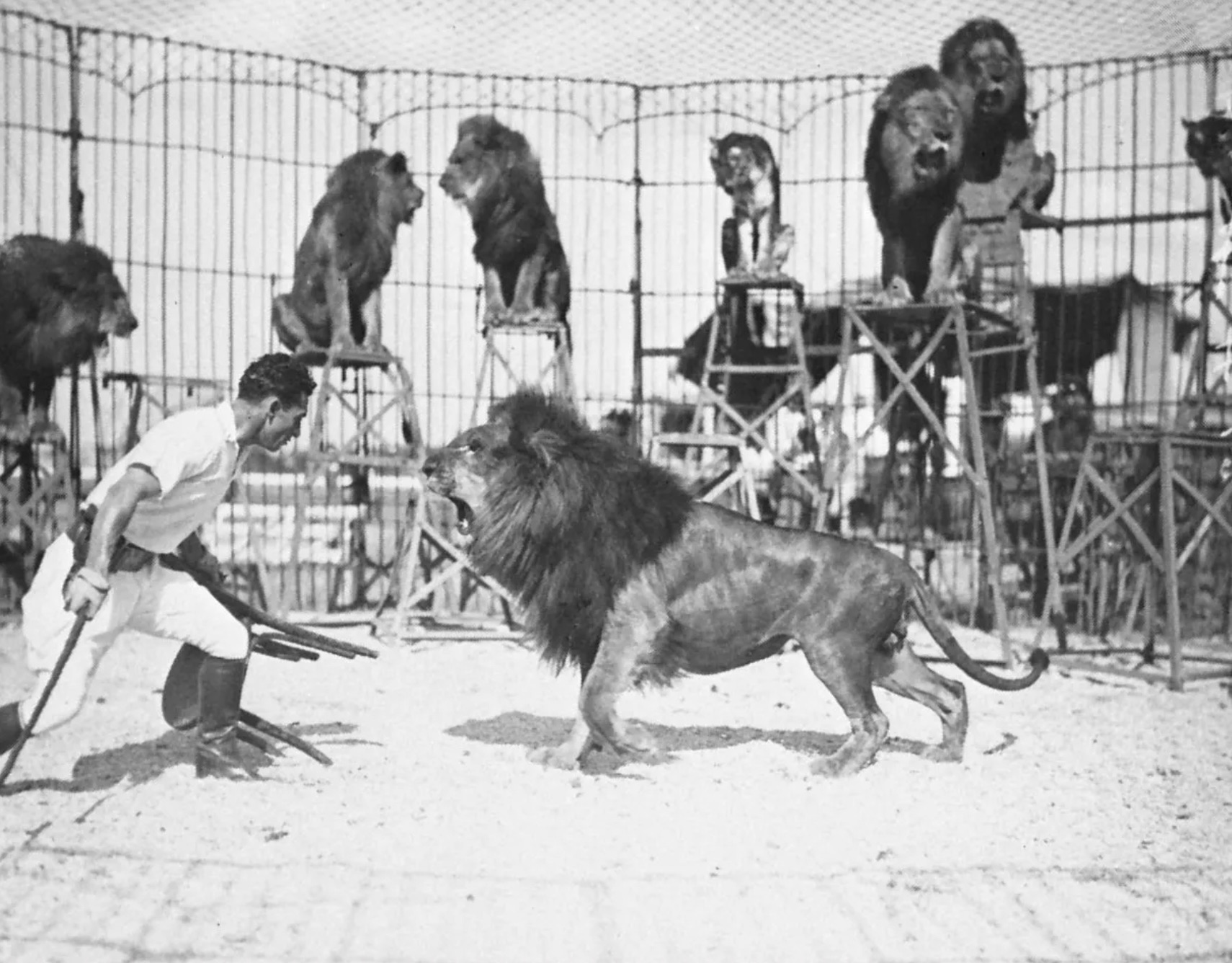 The Ringling Bros Seen in Photos from the Beginning