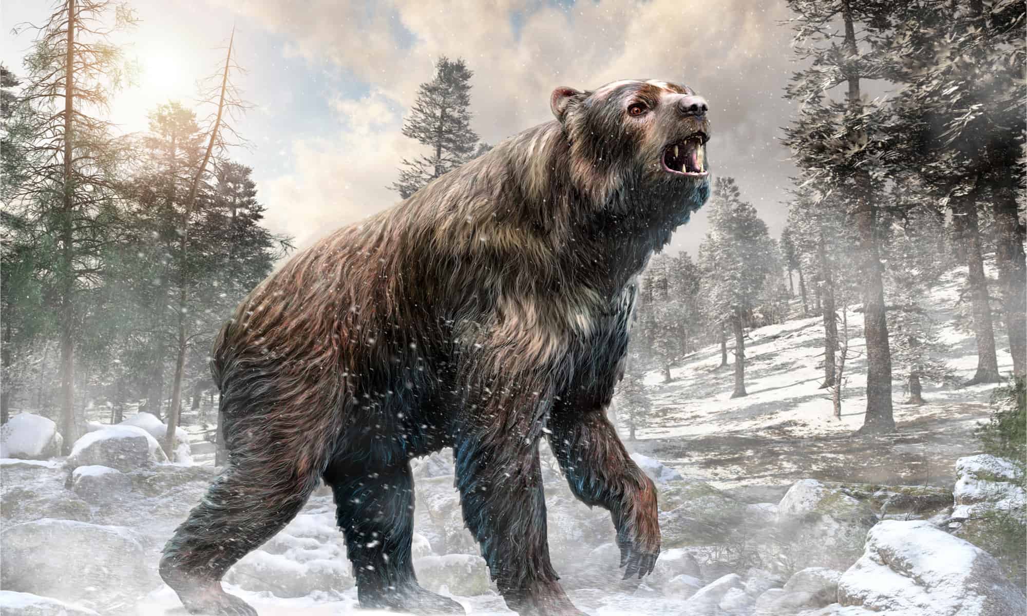 The Legendary Size of Ancient Cave Bears: A Closer Look At This ...