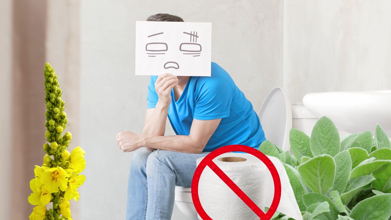 Never Buy Toilet Paper Again: 7 Plants You Can Grow At Home For A Good Wipe