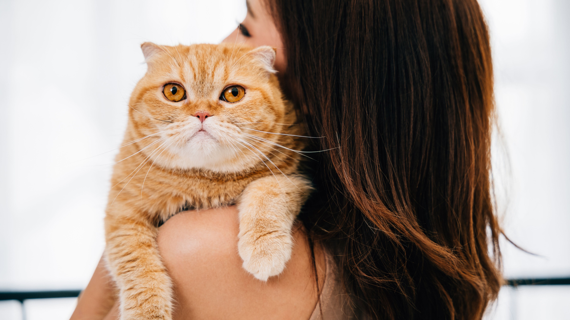 7 Mistakes That Hurt Your Cat’s Feelings And 5 Things That Cheer Them Up