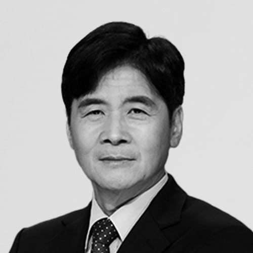 Ruling party's universal remedy: Opposition's luck