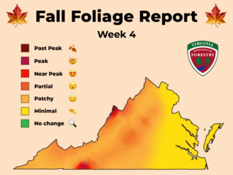 Virginia’s fourth fall foliage report of 2025 shows patchy, partial ...