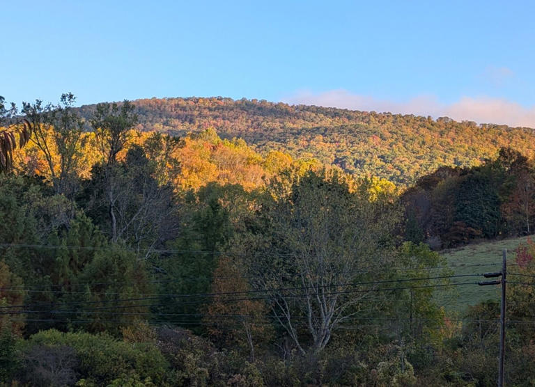 Virginia’s fourth fall foliage report of 2025 shows patchy, partial ...