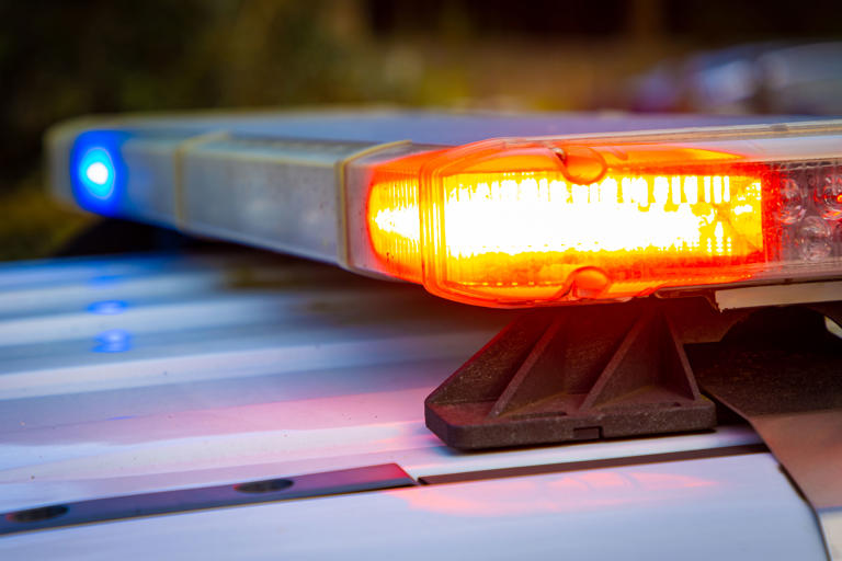 Relative stops juvenile's alleged elementary school shooting plot in ...